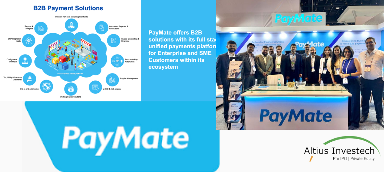PayMate: Growth, Partnerships, & IPO Plans, Company Overview